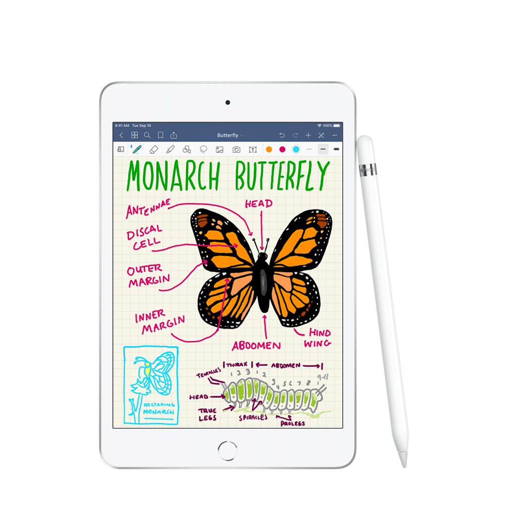 iPad in Education | iPad from £6 per student per month | Sync